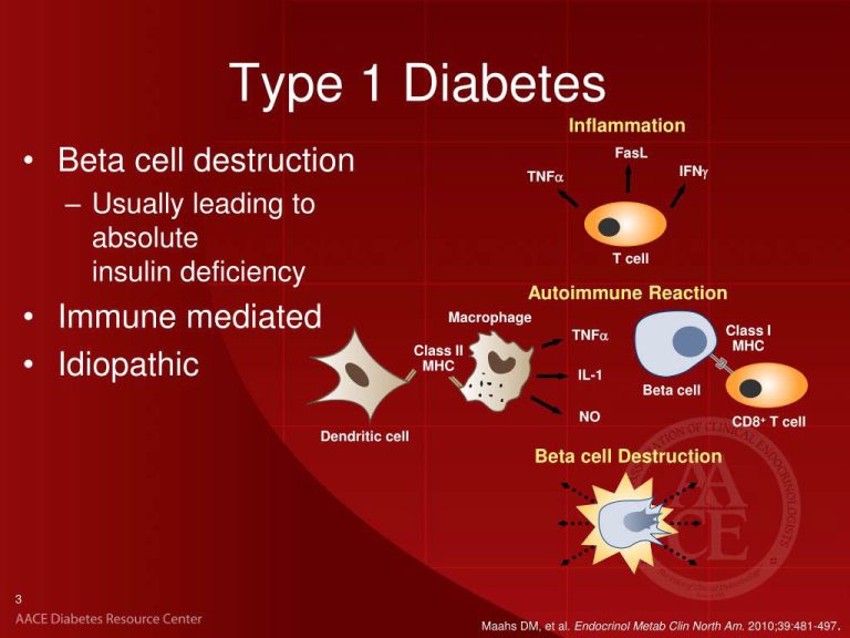 DIABETES BETA CELL DESTRUCTION – Marica Capriotti